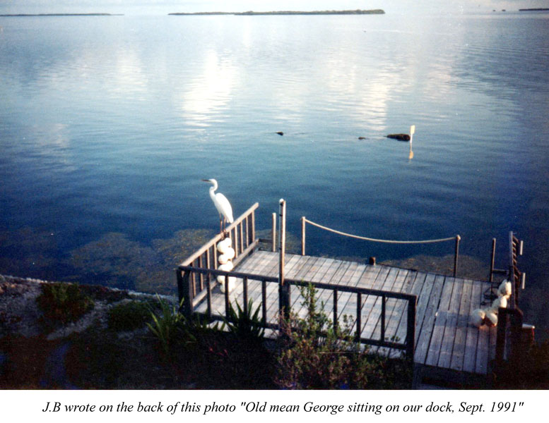 Jesse Brown Hartley, Jr. 1985-2001